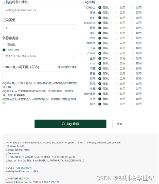 在线dig命令：DNS查询工具详解-CSDN博客
