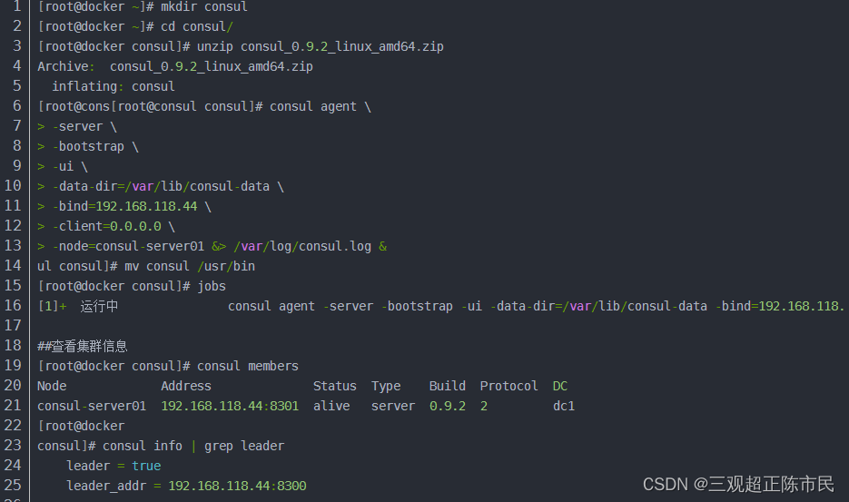 Docker --compose + consul 介绍_consul docker-CSDN博客