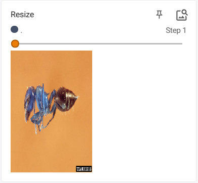 Transforms的使用_if size is a sequence, it should have 1 or 2 value-CSDN博客