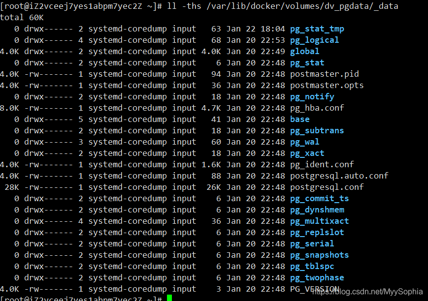 docker 启动一个postgresql 服务_docker中postgre怎么单独启动-CSDN博客
