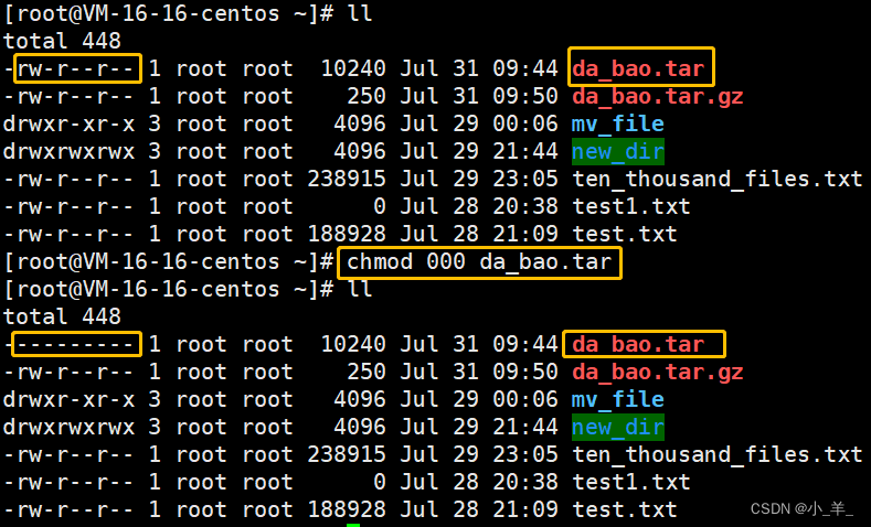 【linux】基本权限_chmod 0666-CSDN博客