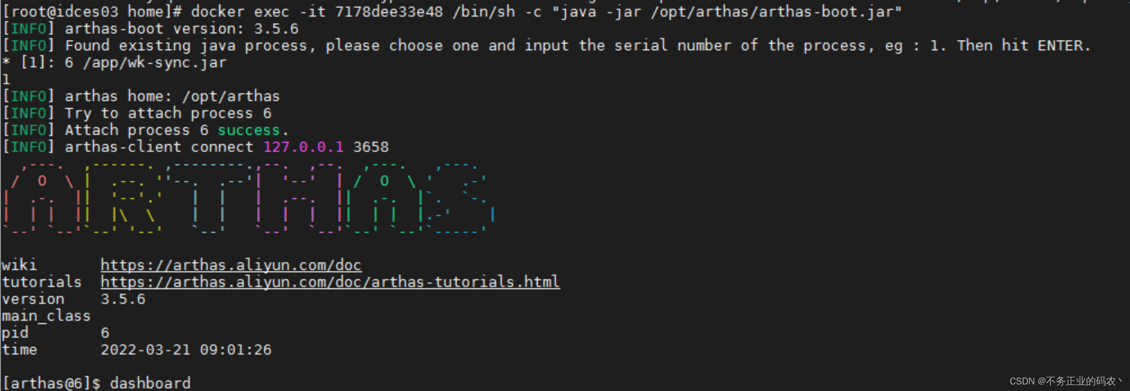 使用 Arthas 监控诊断 Docker 应用_arthas 诊断docker 服务-CSDN博客