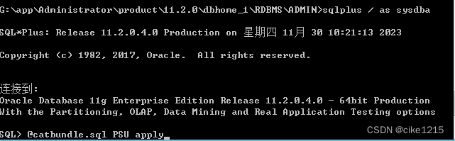 windows上oracle11g安装补丁（patches）_oracle11g补丁下载-CSDN博客
