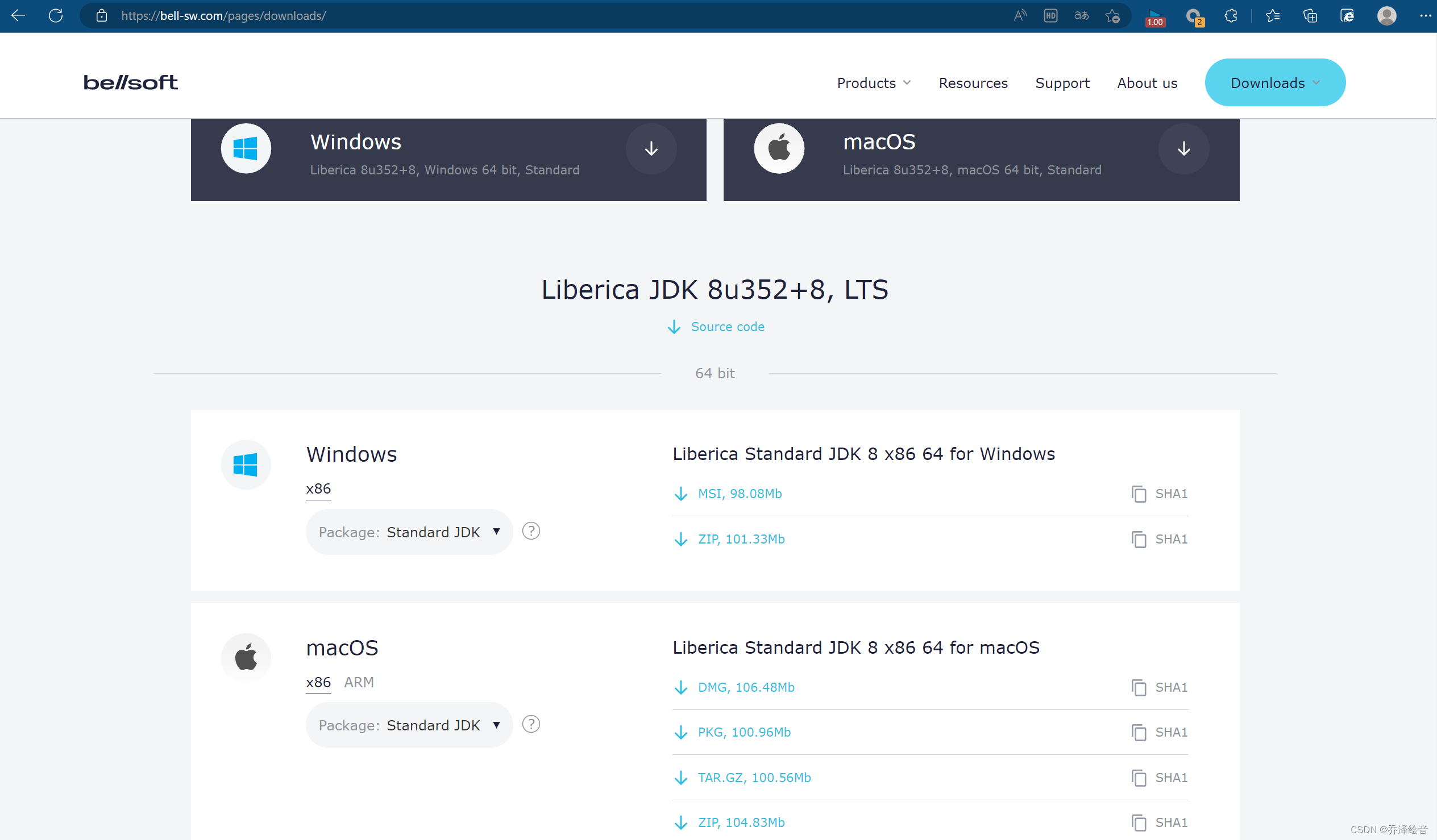 Windows11设置Java环境_win11启用java-CSDN博客