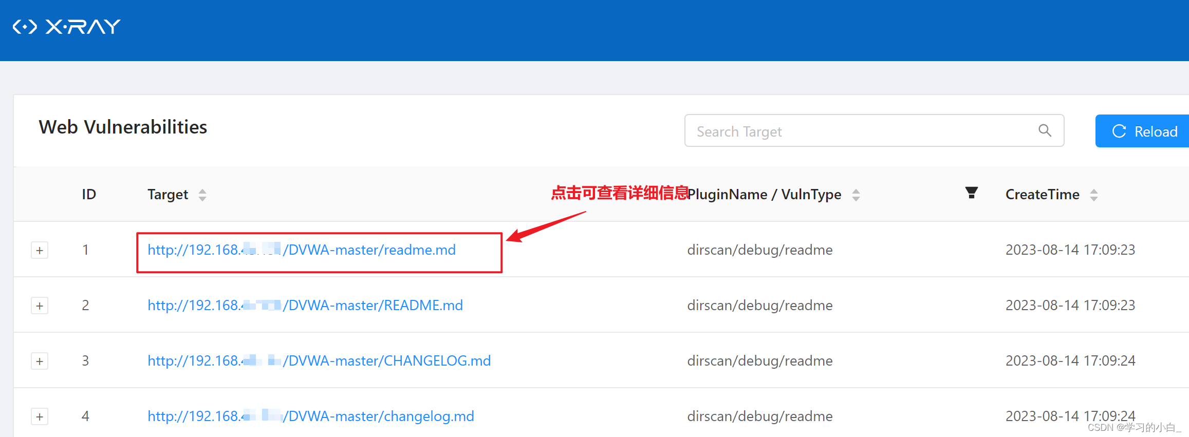 Xray——Windows及Linux安装_xray linux-CSDN博客