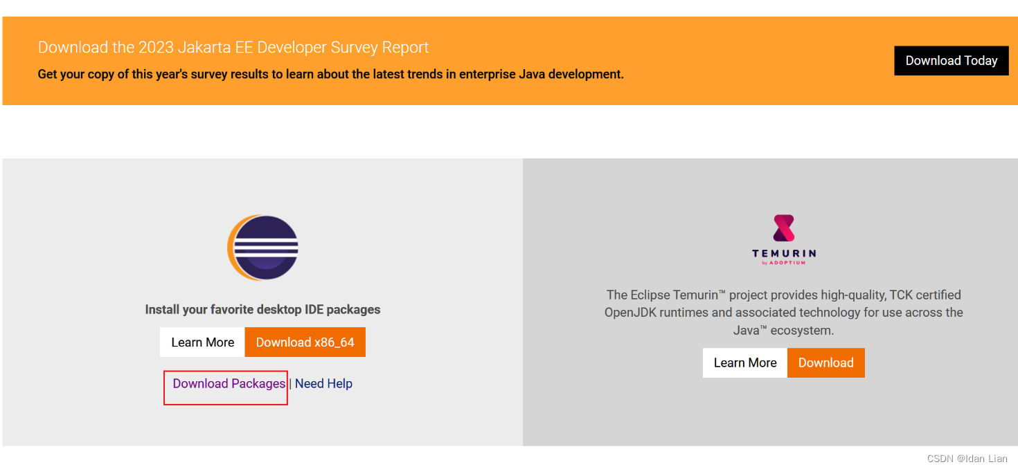 SAP/BW 开发人员安装Eclipse详细过程和踩的坑_sap eclipse-CSDN博客
