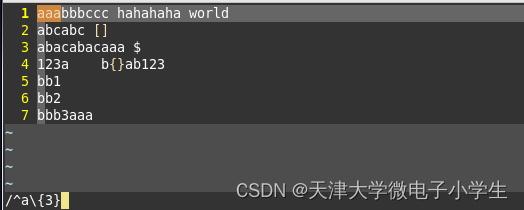 VIM奇技淫巧-VIM/GVIM中的正则匹配_gvim正则匹配-CSDN博客