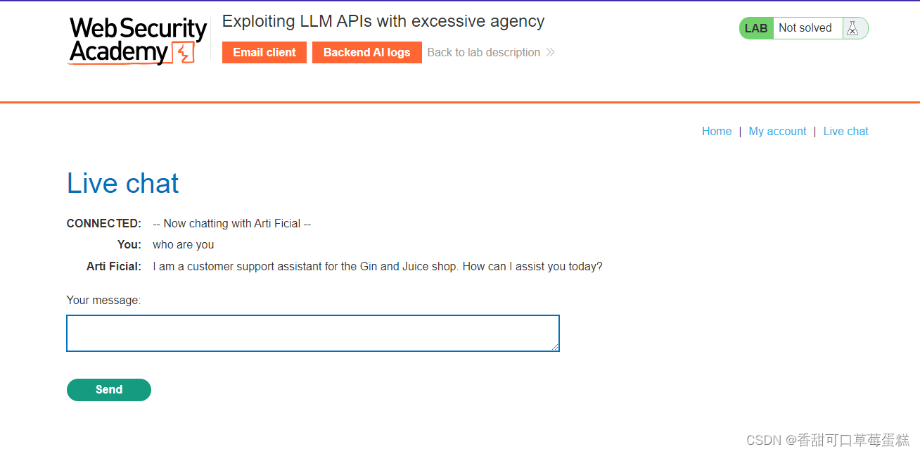 Web LLM 攻击实验：利用 LLM API 实现 SQL 注入_api sql注入-CSDN博客