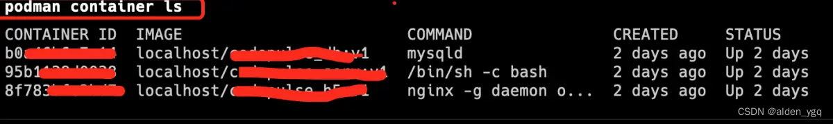Mac OS 如何在命令行下启动Docker_mac docker daemon-CSDN博客