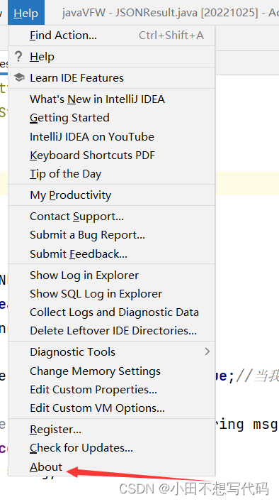 IDEA2021.3.1版本配置lombok全过程（maven版本）_lombok最新版本-CSDN博客