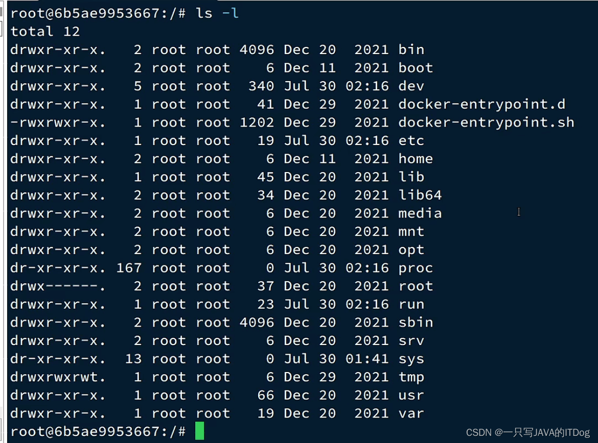 docker基础命令：安装应用（docker安装nginx）_docker exec -it nginx bash root-CSDN博客