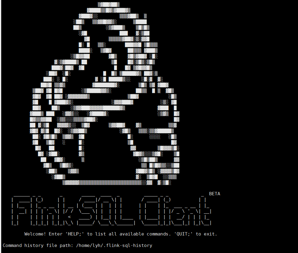 Flink（十三）【Flink SQL（上）SqlClient、DDL、查询】_flink sql client-CSDN博客