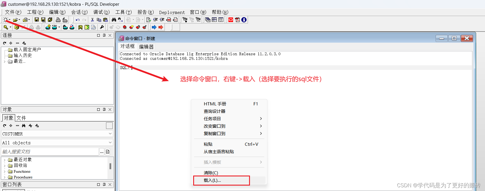 数据库文件中带有prompt的执行方法_plsql prompt-CSDN博客