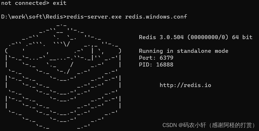 Redis命令行启动报错 Creating Server Tcp Listening Socket 6379 Bind No Errorcreating Server Tcp 