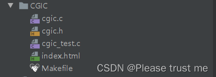 CGIC（一）——基础知识-CSDN博客