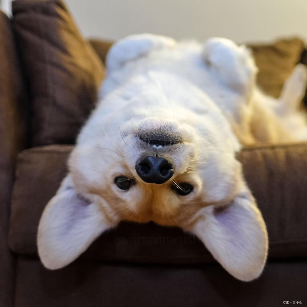 Java 数据结构篇 实现堆的核心方法与堆的应用（实现 Top K 问题：最小 K 个数）java数组建堆 Csdn博客