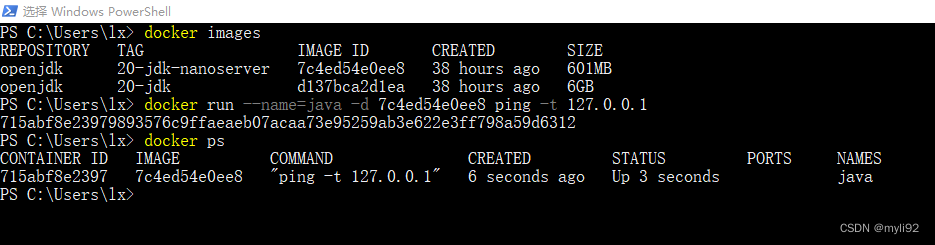 Docker Desktop容器无法启动_dockerdesktop无法启动-CSDN博客