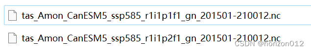 python 使用acccmip6下载CMIP6数据-CSDN博客