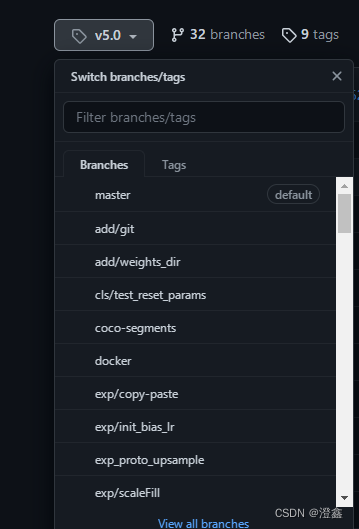 YOLOv5转onnx格式文件，并将其用netron可视化_github中yolov5.onex文件-CSDN博客