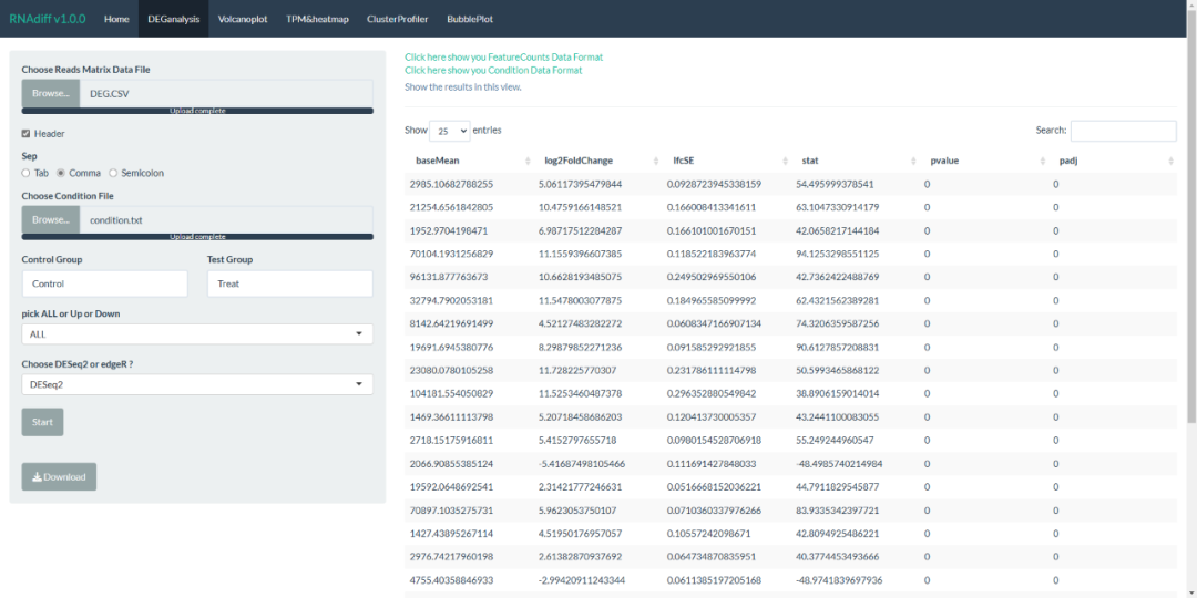 RNAdiff 使用教程 | DEG分析、TPM计算以及火山图和热图的绘制-CSDN博客