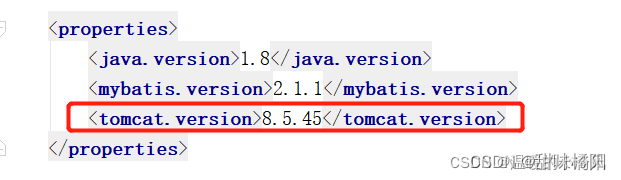 springboot-tomcat冲突_java.lang.abstractmethoderror: org.apache.tomcat.w-CSDN博客