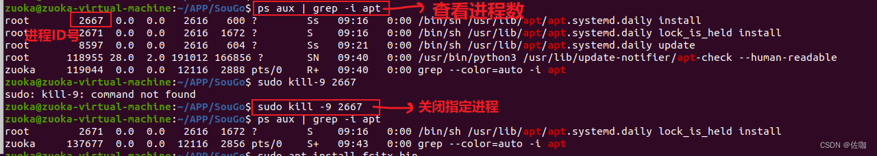 Linux——使用kill结束进程并恢复进程（详细图文教程）_linux进程杀死后重新恢复-CSDN博客