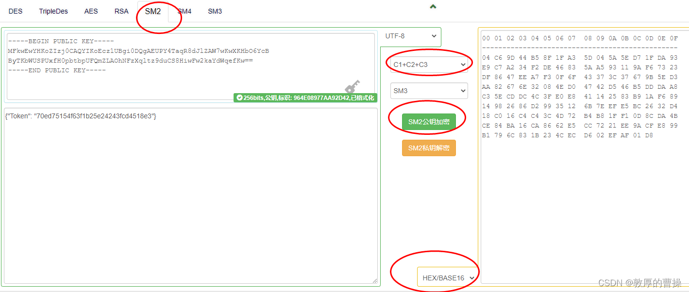 【Postman】Postman+国密SM2+https协议+Api接口获取sign和token解决方法（特定项目参照用，莫照搬）_postman sm2-CSDN博客