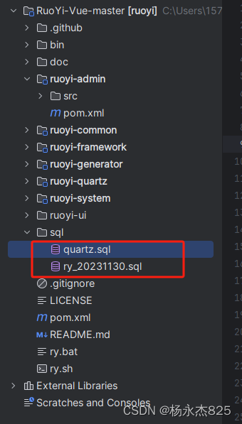 若依开源框架-Ruoyi-vue 前端分离版使用说明-超详细_前端怎么在若依框架上开发-CSDN博客