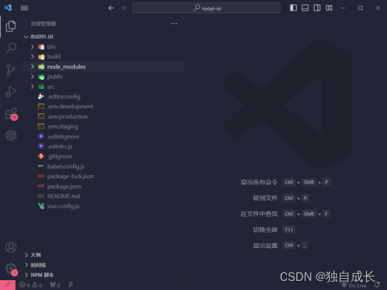 打包部署若依(RuoYi)SpringBoot后端和Vue前端图文教程_若依打包部署-CSDN博客