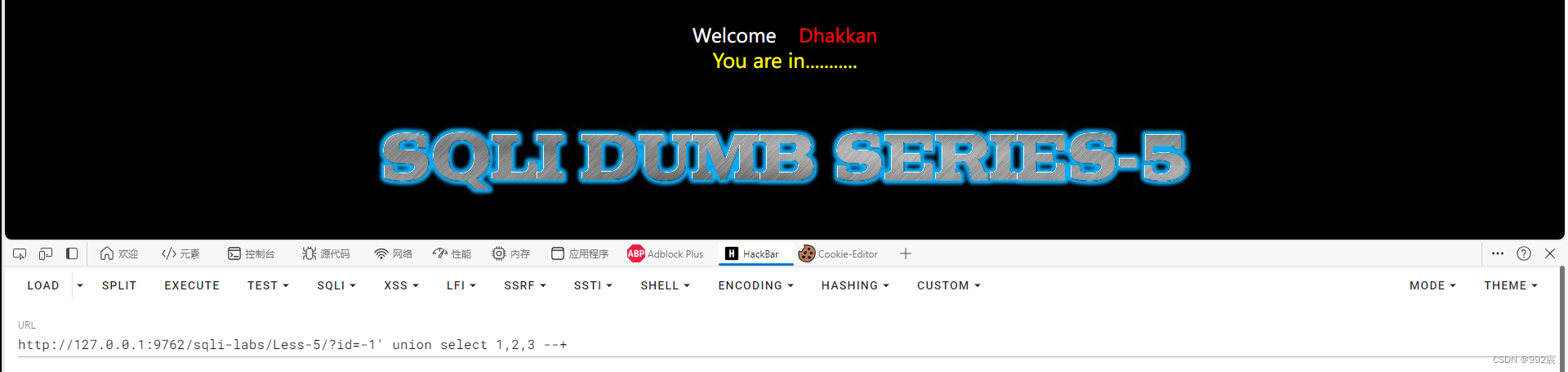 sqli-labs解题记录_please input the id as parameter with numeric valu-CSDN博客