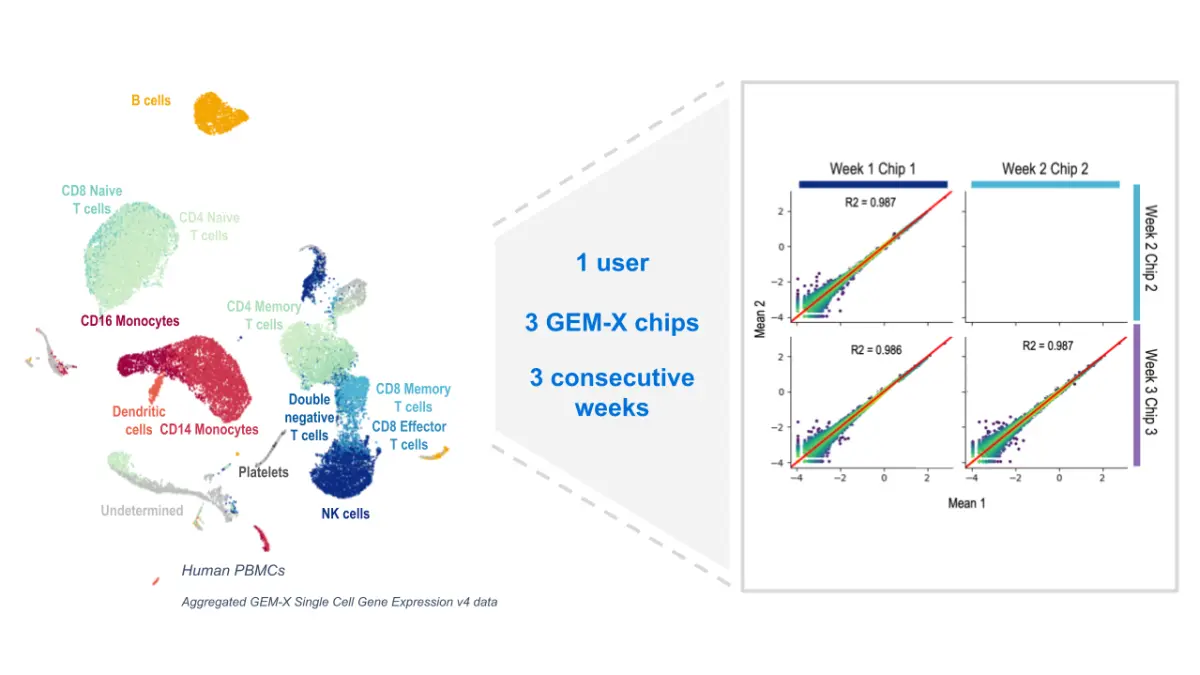 The neXt generation of single cell RNA-seq（GEM-X）_chromium next gem ...