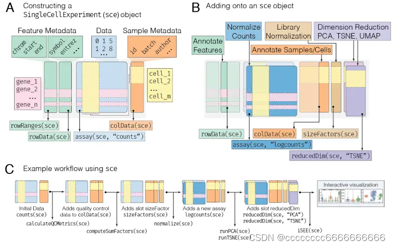 数据存储格式——SingleCellExperiment-CSDN博客