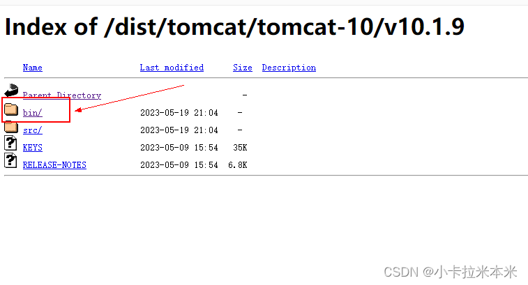 Centos7 Tomcat10 保姆级超详细安装_centos7安装tomcat10-CSDN博客