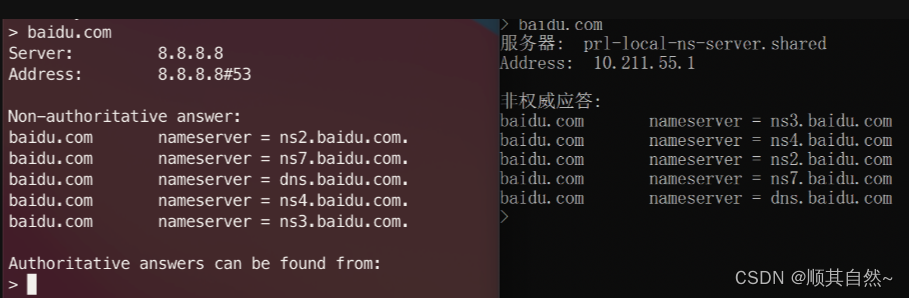nslookup 入门命令详解-CSDN博客