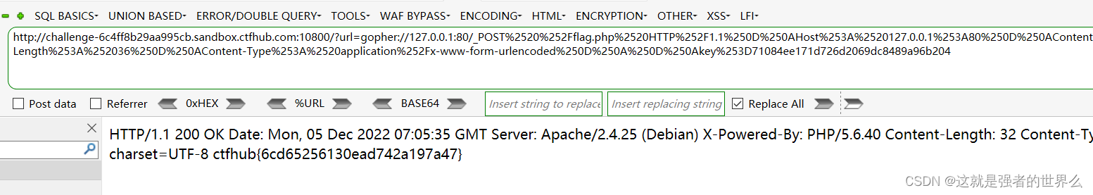 CTFHUB-web-SSRF_ctfhub 伪协议读取文件-CSDN博客