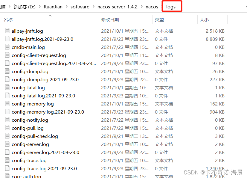 结合实践总结Docker安装Nacos_docker pull nacos-CSDN博客