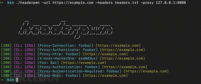headerpwn：一款针对服务器响应与HTTP Header的模糊测试工具_header 检查工具-CSDN博客