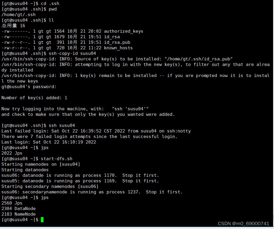 Linux 启动dfs时出现Permission denied_start-dfs.sh时pression denied-CSDN博客