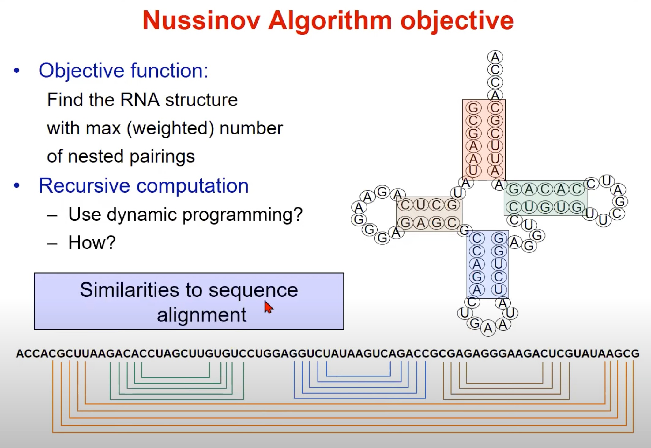 【RNA folding】RNA折叠算法与生物物理约束_rnafold-CSDN博客