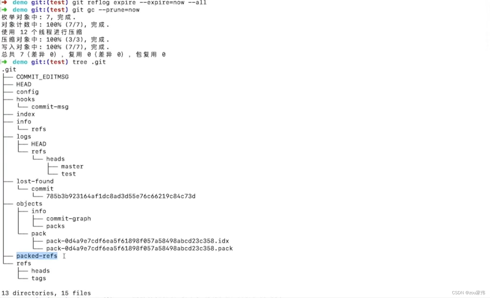 Git基础操作与配置详解-CSDN博客