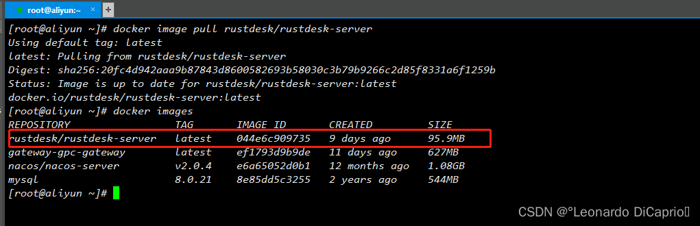 宝塔搭建RustDesk中继服务器_rustdesk 宝塔-CSDN博客