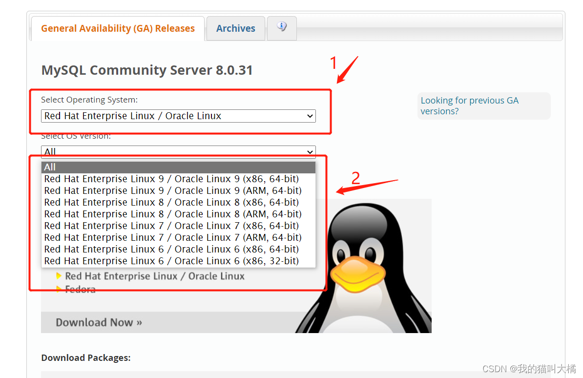 在centOS环境下安装MySQL80步骤_centos安装mysql80-CSDN博客