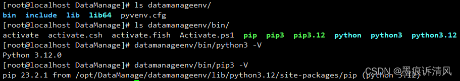 Linux 离线安装最新Python(3.12)设置独立virtualenv(venv)环境_linux安装python3.12-CSDN博客