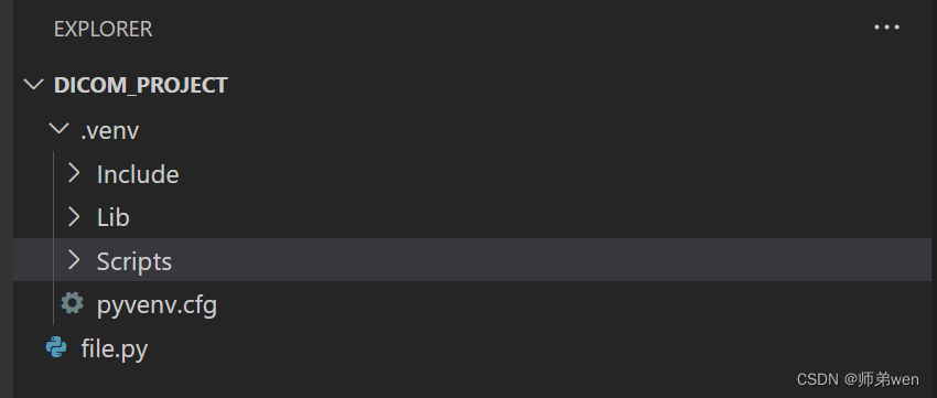 使用python打开DICOM文件_python加载dicom文件-CSDN博客