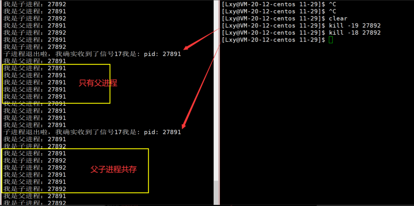 [ Linux ] 可重入函数,volatile 关键字,SIGCHLD信号_linux 可重入函数-CSDN博客