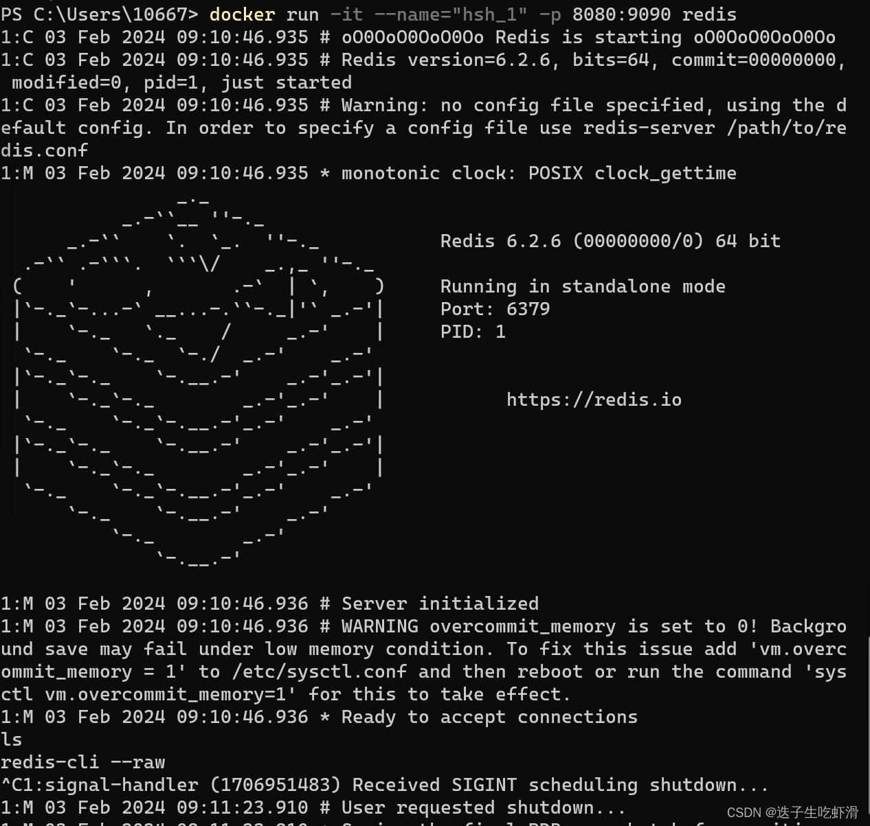 Docker基础知识和常用命令_dockers 启动-CSDN博客