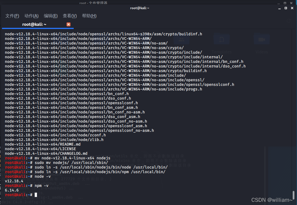 Linux(Kali)安装Node.js_kali安装nodejs-CSDN博客