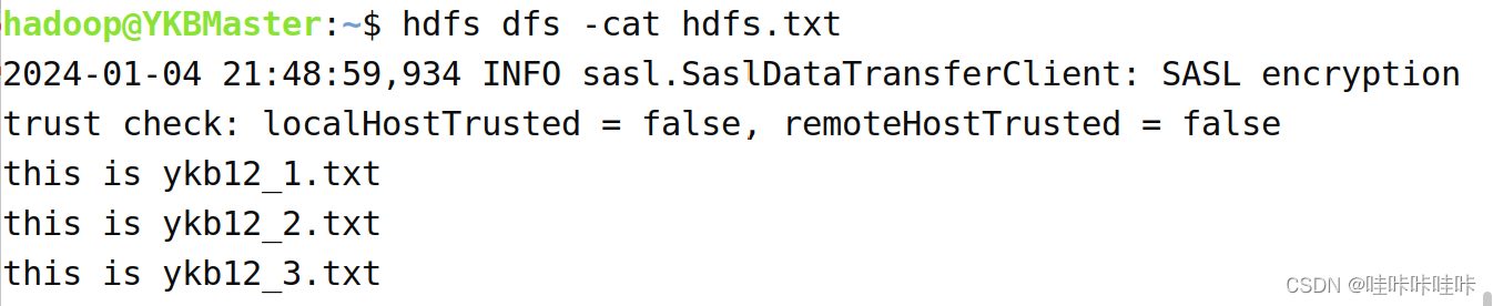 Hadoop集群环境下HDFS实践编程过滤出所有后缀名不为“.abc”的文件时运行报错：java.net.ConnectException: 拒绝连接；_file1.txt、file2.txt ...