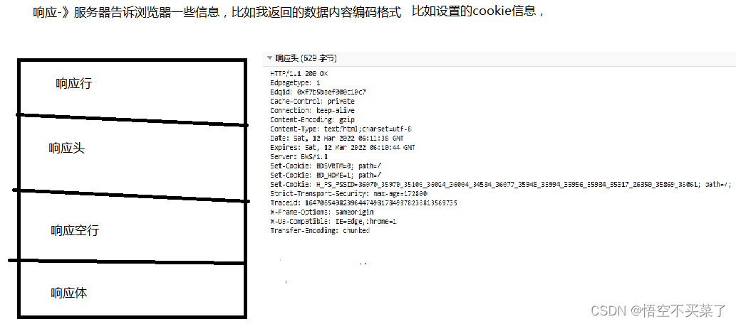 javaee之response响应、ServletContext对象_java ee response的响应过程细节-CSDN博客