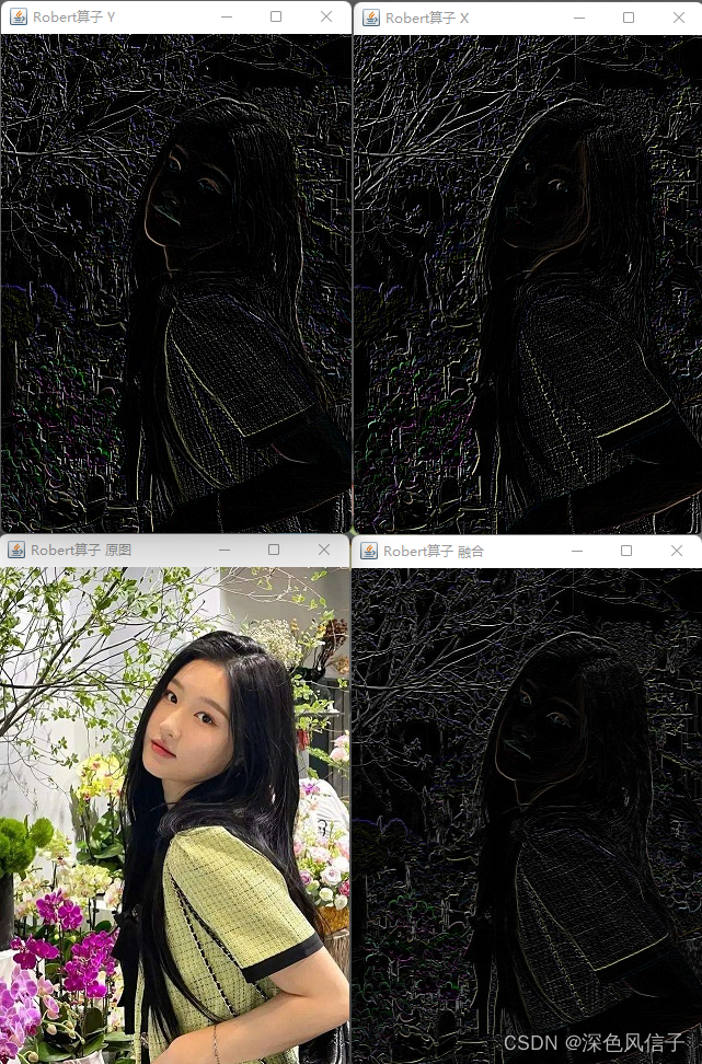 Java Opencv 图像处理11 自定义图像滤波降噪 算子opencv 噪点处理 Java Csdn博客